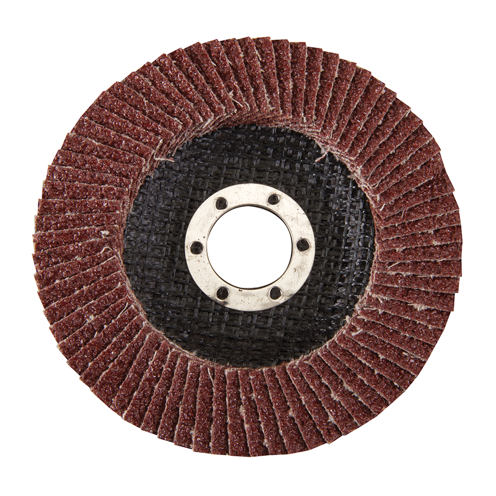5 inch 125 mm Flap Disc
